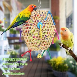 AK KYC Bird Parrot Toys，2 Pack Bird Hanging Foraging Shredder Toys for Small Medium Small Bird Conure Cockatiel Parrotlet Lovebird Budgie