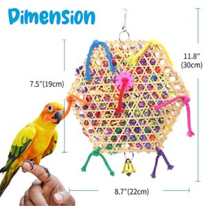 AK KYC Bird Parrot Toys，2 Pack Bird Hanging Foraging Shredder Toys for Small Medium Small Bird Conure Cockatiel Parrotlet Lovebird Budgie