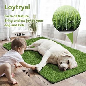 Loytryal 39.4 x 31.5 Inches Fake Grass Pee for Dogs Artificial Grass Rug Turf for Puppy Potty Training Washable Grass Mat Pee Grass for Dog Potty Tray