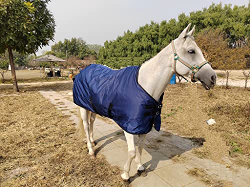 Ankaier 1800 Denier Waterproof and Windproof Winter Turnout Horse Blanket, High-Grade Thermal Insulation Polyfill (250 Grams) Materials, Medium-Weight, Ripstop, Navy Color- 69" inches (Black Edge)