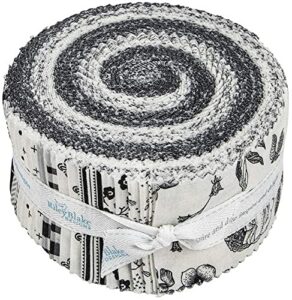 my mind's eye fleur noire rolie polie 40 2.5-inch strips jelly roll riley blake designs rp-12520-40