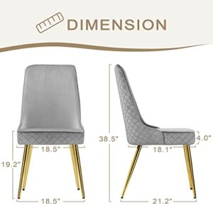 Comfy to go Dining Chairs, Velvet Dining Chairs Set of 4, Mid Century Modern Dining Room Chairs with High Back and Gold Legs(Gray) Chairs Only