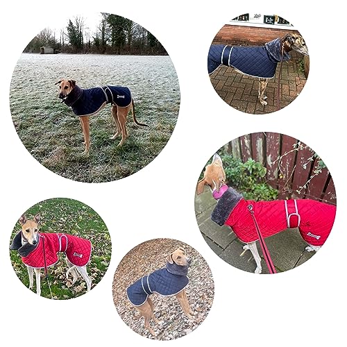 Greyhound Fleece Jumper,Greyhound Dog Winter Coat,Whippet Winter Coat Waterproof Windproof Outdoor Dog Apparel for Whippet Lurcher Salukis-Blue-3XL