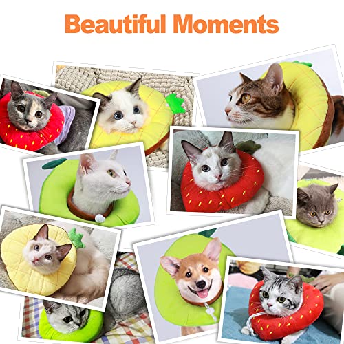 Arrozon Cat Cone Collar Soft Adjustable Cat Recovery Collar Kitten Cones After Surgery 3 Pcs Cute Pet Elizabeth Circle Soft Cone for Cats Small Dogs Pet Donut Collar