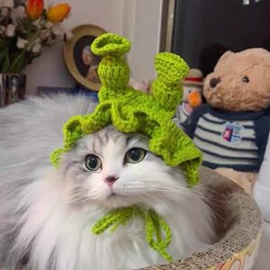 Pet Hat Funny Shrek Cat Hat Handmade Knitted Woolen Yarn Hat Classic Retro Pet Sunglasses，Apply to Pet Photo Suit, Pet Supplies for Small Dog and Cat(Shrek)