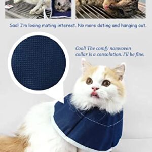 NonwovenEco Soft Recovery Cat Cone Collar, Dog Neck Donut Collar After Surgery, Protect The Wound Stop Licking. Easy Eating & Drinking. for Pets up to 10'' Neck Circumference (M)