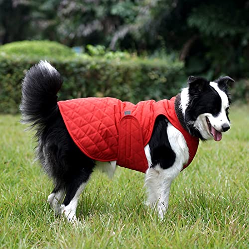 HCMIZI Fleece Lined Warm Dog Jacket for Puppy Winter Cold Weather,Soft Windproof Small Dog Coat (X-Large)