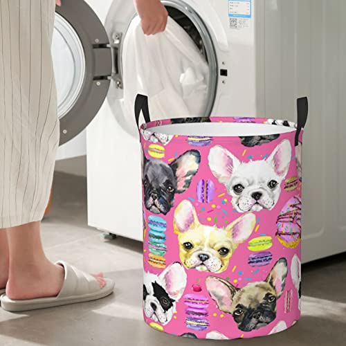 KiuLoam Cute French Bulldog 19.6 Inches Large Storage Basket Collapsible Organizer Bin Laundry Hamper for Nursery Clothes Toys