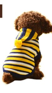 fbella pet ring, pet dog clothes, autumn and winter clothes, striped half body, hooded knitted sweater, cat sweater,yellow blue,xs