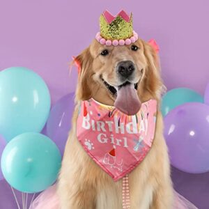 LEBERY Dog Birthday Bandana Hat Set - Dog Boys Girls Birthday Hat Cat Dog Pink Birthday Decorations for Small Medium Dog Cat Pet (Pink Scarf & Crown)