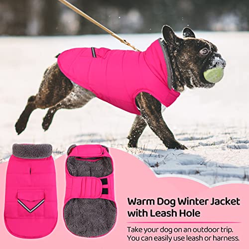 MIGOHI Warm Dog Coat, Winter Dog Jacket for Cold Weather, Reflective Windproof Dog Fleece Vest Thick Dog Apparel with Leash Hole and Furry Collar for Puppy Small Medium Large Dogs, Pink XS