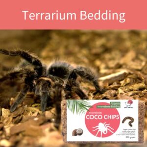 Snout and Shell Organic Invertebrate Coco Chip Bedding Substrate for Tarantulas, Spiders, Millipedes - Natural Habitat for Tunneling, Digging, & Enjoying - 500 Gm