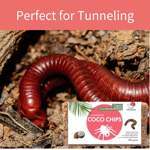 Snout and Shell Organic Invertebrate Coco Chip Bedding Substrate for Tarantulas, Spiders, Millipedes - Natural Habitat for Tunneling, Digging, & Enjoying - 500 Gm