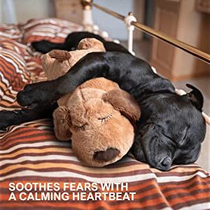 Pro Pet Works Puppy Heartbeat Toy-Calming Plush Stuffed Animal Dog Toy with Heartbeat for Relief of Separation Anxiety-Calming Behavioral Sleeping Aid Crate Training-Cuddle Pup