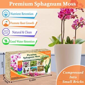 Legigo 5.3 OZ Premium Sphagnum Moss Potting Mix- Natural Succulent Carnivorous Plants Moss Dried, Long Fibered Sphagnum Moss Plant Growing Medium for Orchid Succulent Sarracenia Orchid Plants (6 QT)