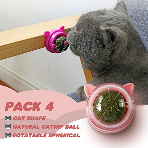 BOXTOHEART 4 Pack Catnip Ball Toys, Edible Organic Balls for Cats and Kittens - Crab Avocado Snail Shapes, Wall Mountable for Engaging Play, Teeth Cleaning, and Hairball Relief (4-Pack-E)