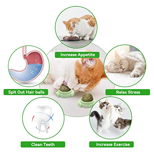 Aucenix Catnip Balls Toy for Cat, Wall Catnip Roller for Cat Licking, Teeth Cleaning Dental Edible Kitten Toy, Natural Rotating Crab Cat Toy (Green)