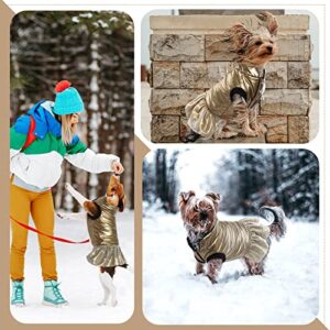 T'CHAQUE Warm Dog Winter Coat Dress Waterproof Puppy Clothes, Stylish Dog Dress Holiday Costume for Small Medium Dogs Girl, Cozy Pet Clothing Party Dresses Cold-Weather Dog Coats with Leash Hole