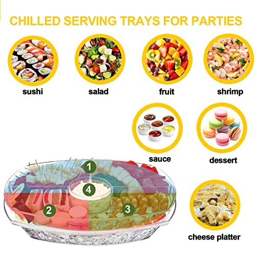 Fruit Platter Tray for Parties, Yatmung Serving Tray on Ice Serving Platter and Tray for Parties Veggie Tray with Lid 4 Section Catering Trays with Lids for Appetizers, Seafood, Desserts, 2 Layers