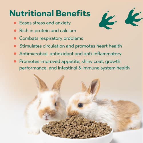 Andy Alfalfa Hay Pellets, Premium Bunny Food for Rabbits, Alfalfa Pellets for Pregnant Bunnies, Young Rabbit Food, Rich in Calcium and Protein, 5 lbs Bag