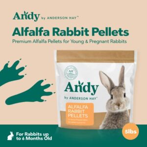 Andy Alfalfa Hay Pellets, Premium Bunny Food for Rabbits, Alfalfa Pellets for Pregnant Bunnies, Young Rabbit Food, Rich in Calcium and Protein, 5 lbs Bag