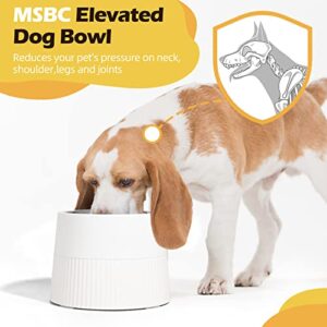 MSBC Elevated Dog Bowl, 15oz Small Raised Dog Feeder with Removable Stainless Steel Food and Water Bowl, Non-Skid & Non-Spill Dog Dish for Small Dogs and Cats, Raised Cat Bowl, Dishwasher Safe, White