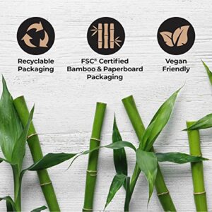 Reach Clean World Natural Bamboo Toothbrush, Soft Plant-Based Bristles, FSC Certified Bamboo and Paperboard, Recyclable Packaging, 3 Count