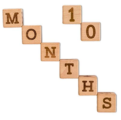 Milestone Mini Blocks | Pregnancy + Newborn +Toddler + Weekly + Monthly + Yearly Age + School Grade + First Holidays