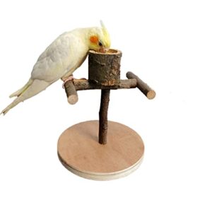 xlpeixin bird playground parrot playstand birds play stand wood exercise perch gym stand hanging swing toys for small medium parakeets canaries cockatiels lovebirds and more…