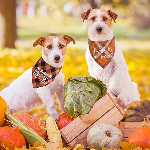 ADOGGYGO Thanksgiving Dog Bandanas, Orange Plaid Pet Scarf, Premium Cotton Fabric, Multiple Sizes Offered, Fall Thanksgiving Bandanas for Small Medium Dogs Pets (Small, Thanksgiving)