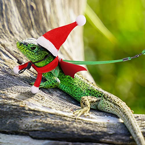 1 Set Bearded Dragon Christmas Costume, 7pcs Bearded Dragon Christmas Clothes Accessories Bearded Dragon Scarf Santa Hat Small Lizard Leash Harness for Reptile Christmas Holiday Cosplay (Green & Red)