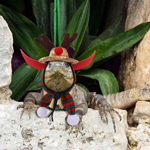 1 Set Bearded Dragon Christmas Costume, 7pcs Bearded Dragon Christmas Clothes Accessories Bearded Dragon Scarf Santa Hat Small Lizard Leash Harness for Reptile Christmas Holiday Cosplay (Green & Red)