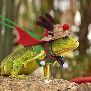 1 Set Bearded Dragon Christmas Costume, 7pcs Bearded Dragon Christmas Clothes Accessories Bearded Dragon Scarf Santa Hat Small Lizard Leash Harness for Reptile Christmas Holiday Cosplay (Green & Red)