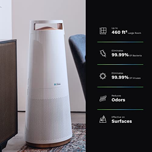 DH Lifelabs | Aaira + HEPA Hydrating Dry Air Purifier | HOCl Cleans Deodorizes & Moisturizes Air + H13 HEPA Filter Allergies Pets | Eliminates 99.9% Bacteria Viruses Mold | Large Rooms Home | White