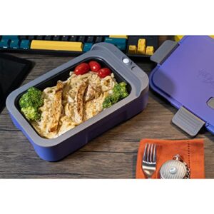 Hot Bento And Insulated Tote Bag - Battery Powered, Portable, Cordless, Hot Meals for Office, Travel, Jobsite, Picnics, Outdoor Recreation