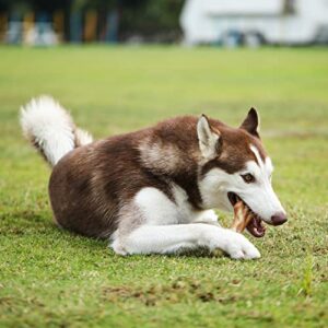 Tikaton Holiday 3-Pack Durable Dog Chew Toys for Aggressive Chewers, Bacon Flavor, Large