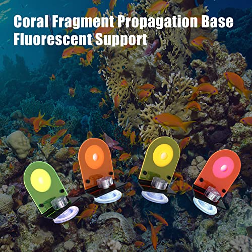 8Pcs Coral Frag Rack Fluorescent Coral Brackets Holder, Acrylic Coral Frag Rack with Powerful Suction Cup and Placstic Screws, Marine Reef Aquarium Spare Parts Suitable for Household Fish Tanks