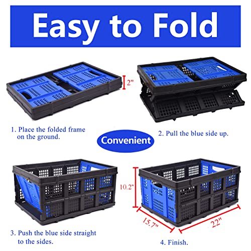 49L Collapsible Plastic Storage Basket, Foldable Storage Bin Organizer, Stackable Folding Crate for Farm Home Office(1 Pack)