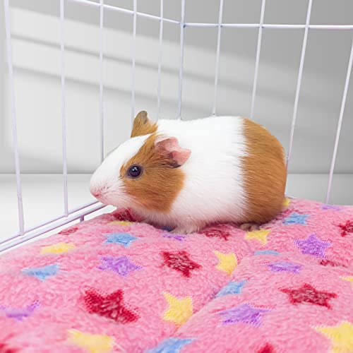 Irieiply 5 PCS 16"x12"x 2" Ultra Soft Cat Bunny Guinea Pig Hamster Bed Mats Small Animal Sleeping Bedding Pads with Cleaning Dustpan Brush, Cozy Rabbit Winter Sleep Cage Thickened Bed