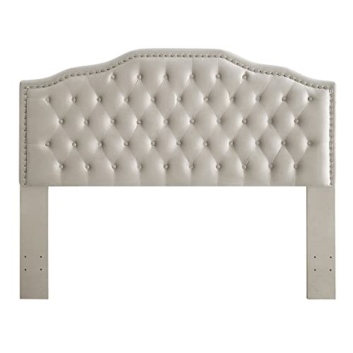 24KF Upholstered Button Tufted Queen Headboard with Nailhead Trim, Soft Velvet Fabric Headboard Queen/Full 6031-Q-TAUPE