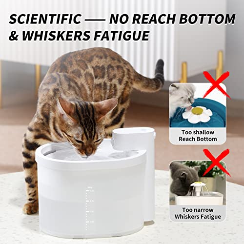 uahpet Battery Operated Cat Water Fountain & 6pcs Filters + Natural Feather Cat Toys for Indoor Cats