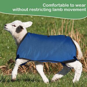 2 Pcs Goat Coat for Winter Goat Blanket Cold Weather Waterproof Windproof Goat Jacket Blanket to Keep Goat Warm Lamb Coat with Straps Thickened Belly Protection, Blue