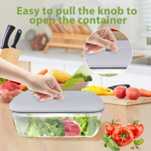 Vacuum Seal Storage Container Starter Kit (2L/half-gallon x1), with Handheld Automatic Pump & 6 Vacuum Bags, Vacuum Container for Food Storage, Airtight Food Preservation -BPA Free, Freezer Safe