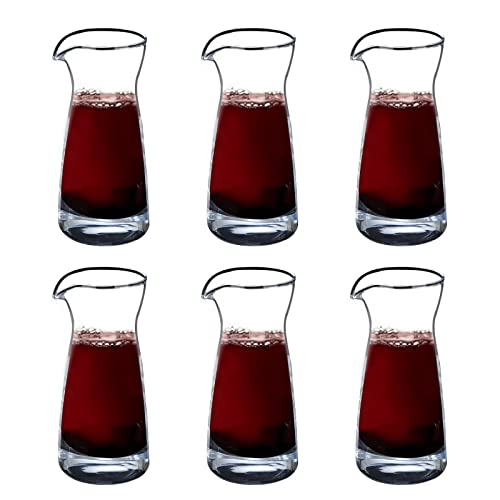 Inevoc Wine Decanter,Inevoc 6 Pack Single Serving,Mini Size Decanters,Small Individual Wine Carafes,Wine Carafe Decanter,Small Carafe for Wine Dinner Parties,Wine Tastings Transparent