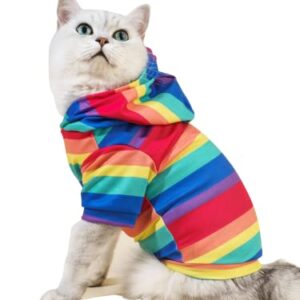 QWINEE Rainbow Colorful Dog Hoodie Sweatshirt Dog Shirt Cat Clothes for Puppy Kitten Small Dogs Multicolor X-Small