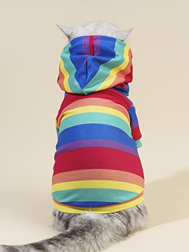 QWINEE Rainbow Colorful Dog Hoodie Sweatshirt Dog Shirt Cat Clothes for Puppy Kitten Small Dogs Multicolor X-Small