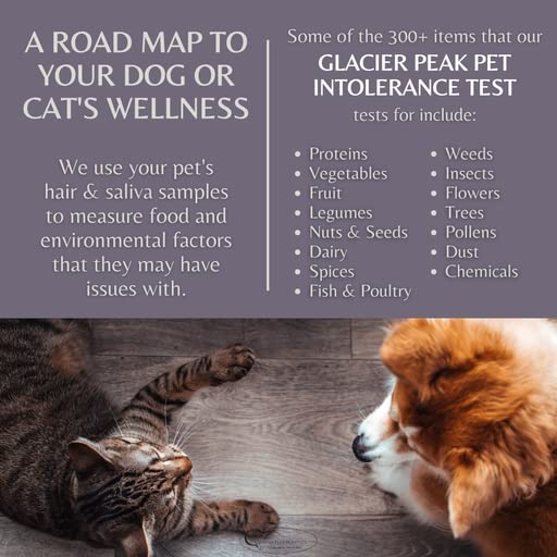 Glacier Peak Holistics - The Original Pet Wellness Life Stress Scan | Simple At Home Hair and Saliva Collection Kit to Test Over 300 Food and Environmental Stressors and Sensitivity in Your Dog or Cat