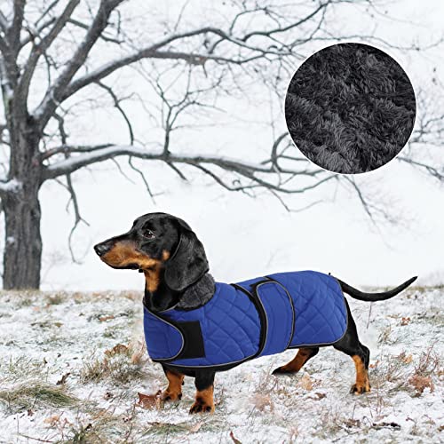 Warm Thermal Quilted Dachshund Coat, Dog Winter Coat with Warm Fleece Lining, Outdoor Dog Apparel with Adjustable Bands for Medium, Large Dog-Blue-XS