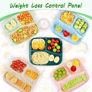 DLF. DONGLINFENG Adult Compartmentalized Dinner Plates 5-Piece Set Unbreakable Portion Control Wheat Plastic Dinner Plates (Compartmentalized Plates/Picnic Plates) 10-Inch