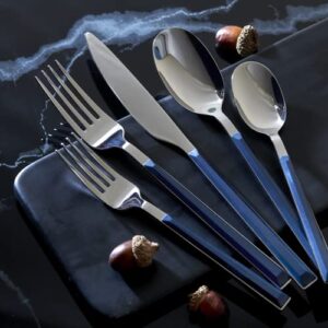 20 Piece Blue Plastic Handle Flatware Set For 4, Ornative Iris Silverware, Includes Knives, Forks, Spoons, Stainless Steel Cutlery Silverware Set, Dishwasher Safe Utensil for Home Kitchen Restaurant